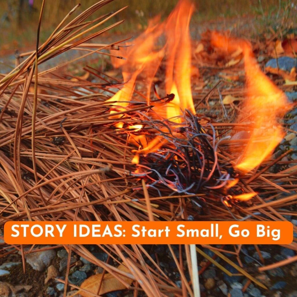 STORY IDEAS: Start Small, Go Big - Learn How To Write A Novel