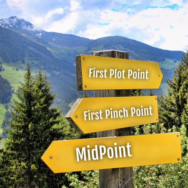 Plot Points-Writing to Percentages - Learn How To Write A Novel